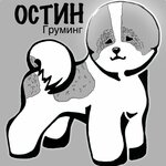 Ostin Grooming (Varshavskoye Highway No:170Ек2), evcil hayvan kuaförleri  Moskova'dan