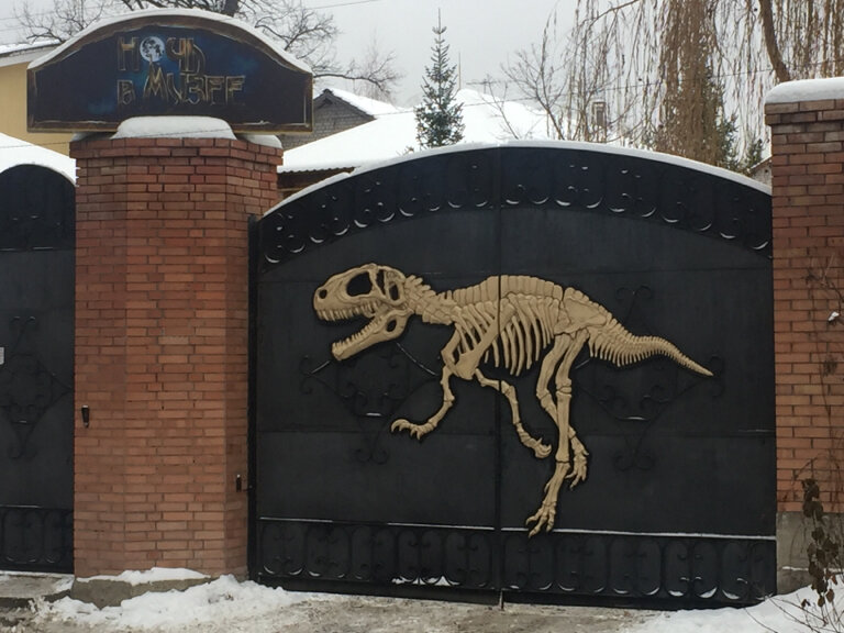 Oyun alanı Ночь в музее, Samara, foto