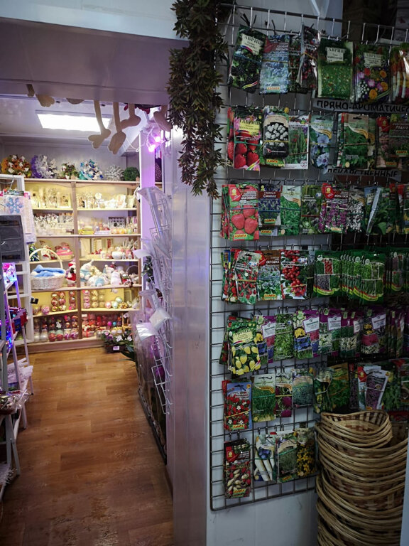 Çiçekçiler Gardenia, Belooziorski, foto