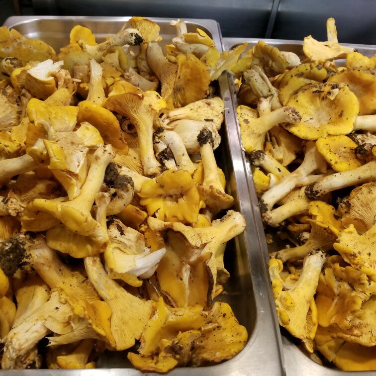 Restoran Les Cochons d'Or, Virginia, foto