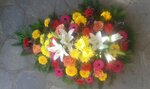 Blumen Auer (Lower Austria, Amstetten, Feichtingerstraße, 24), peyzaj tasarımı  Aşağı Avusturya'dan