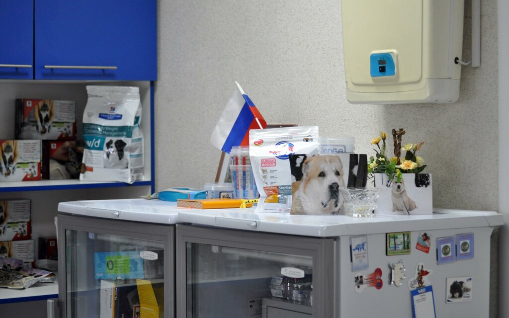 Veteriner klinikleri Veterinarnaja klinika Pyos i Kot, Petuşki, foto