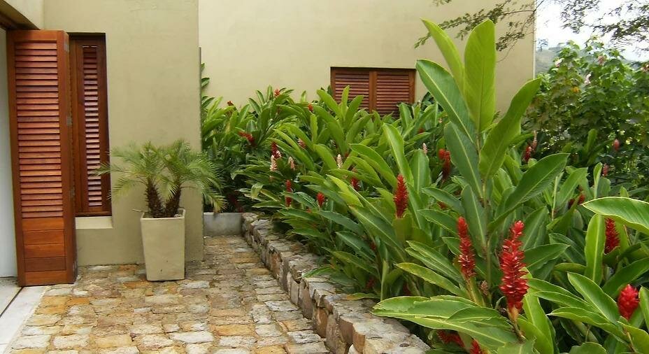 Yapay çam ağaçları ve süsleri Servijardines & Decoración S. A. S., Bogota, foto