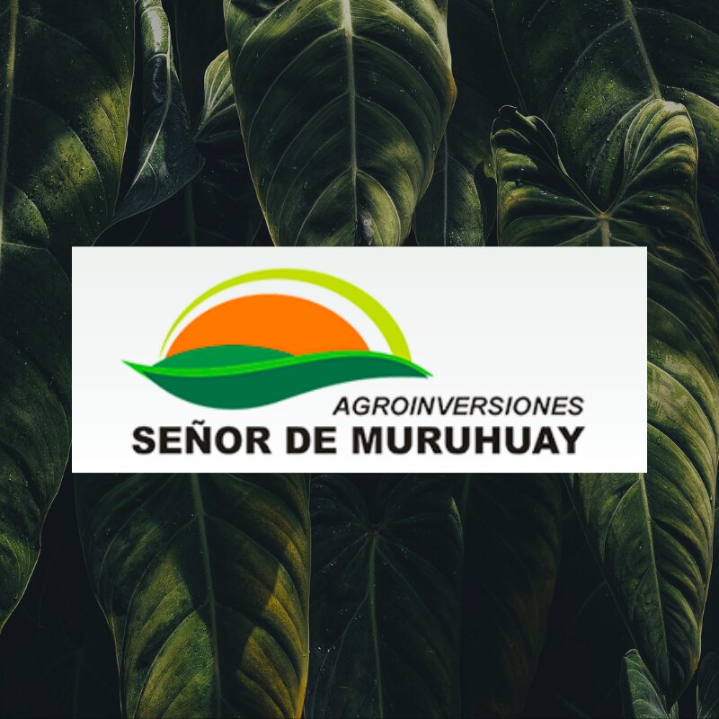 Haşere ilaçlama firmaları Señor De Muruhuay S. A. C. Agroinvestments, Lima, foto