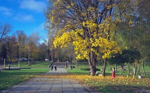 Tsentralny park kultury i otdykha (вулиця Шевченка No:59), kültür ve eğlence parkları  Chernigov'dan