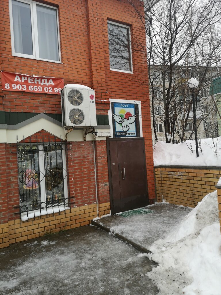 Çocuklar için kutlama organizasyonları Vorona Loft Shelkovo, Şçolkovo, foto