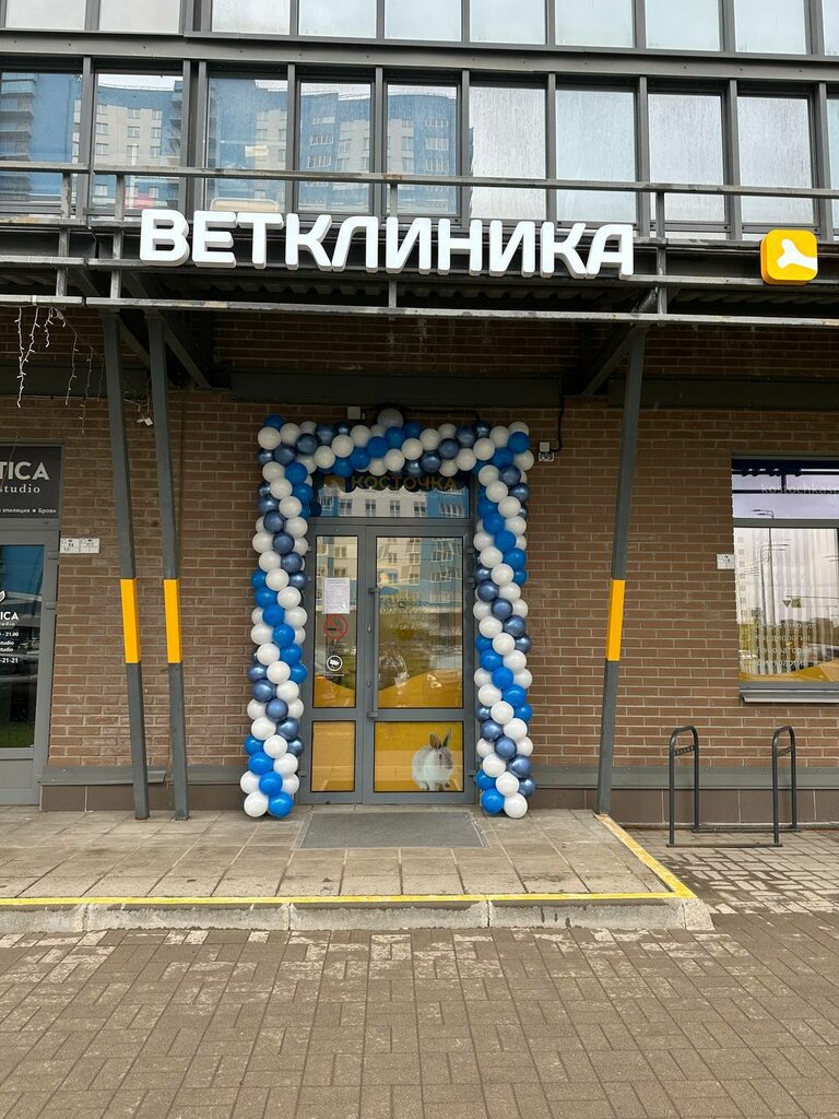 Veteriner klinikleri Косточка, Saint‑Petersburg, foto