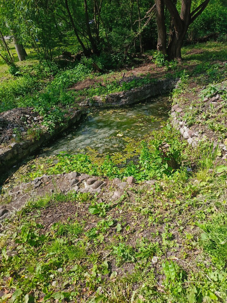 Pınar, çay Spring, stream, Yaroslavl, foto
