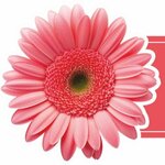 Цветы (vulica Janki Kupaly No:130), çiçekçiler  Molodchenko'dan