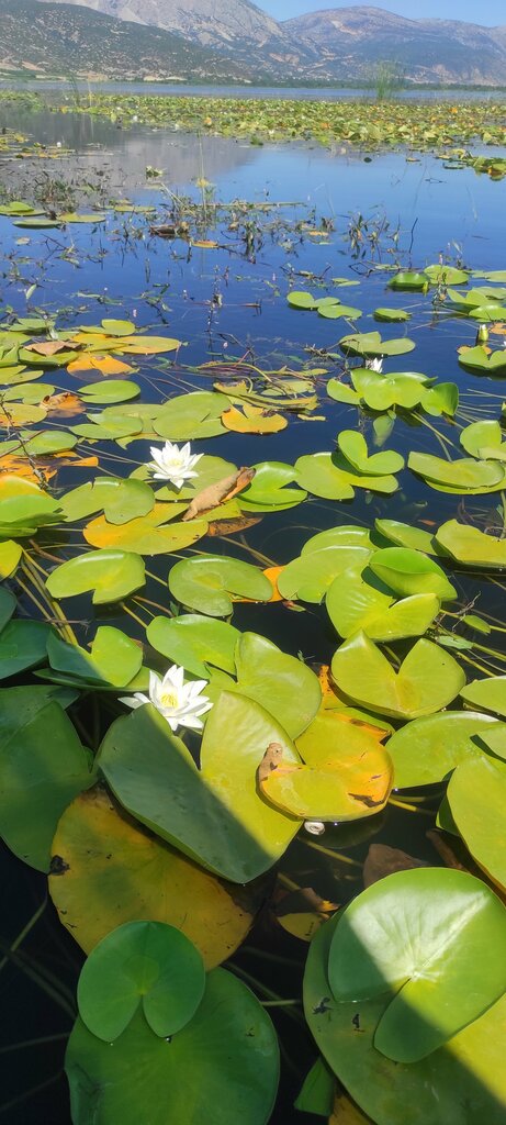 Kamp alanları Işıklı Gölü Tekne Turu ve Kamp, Çivril, foto