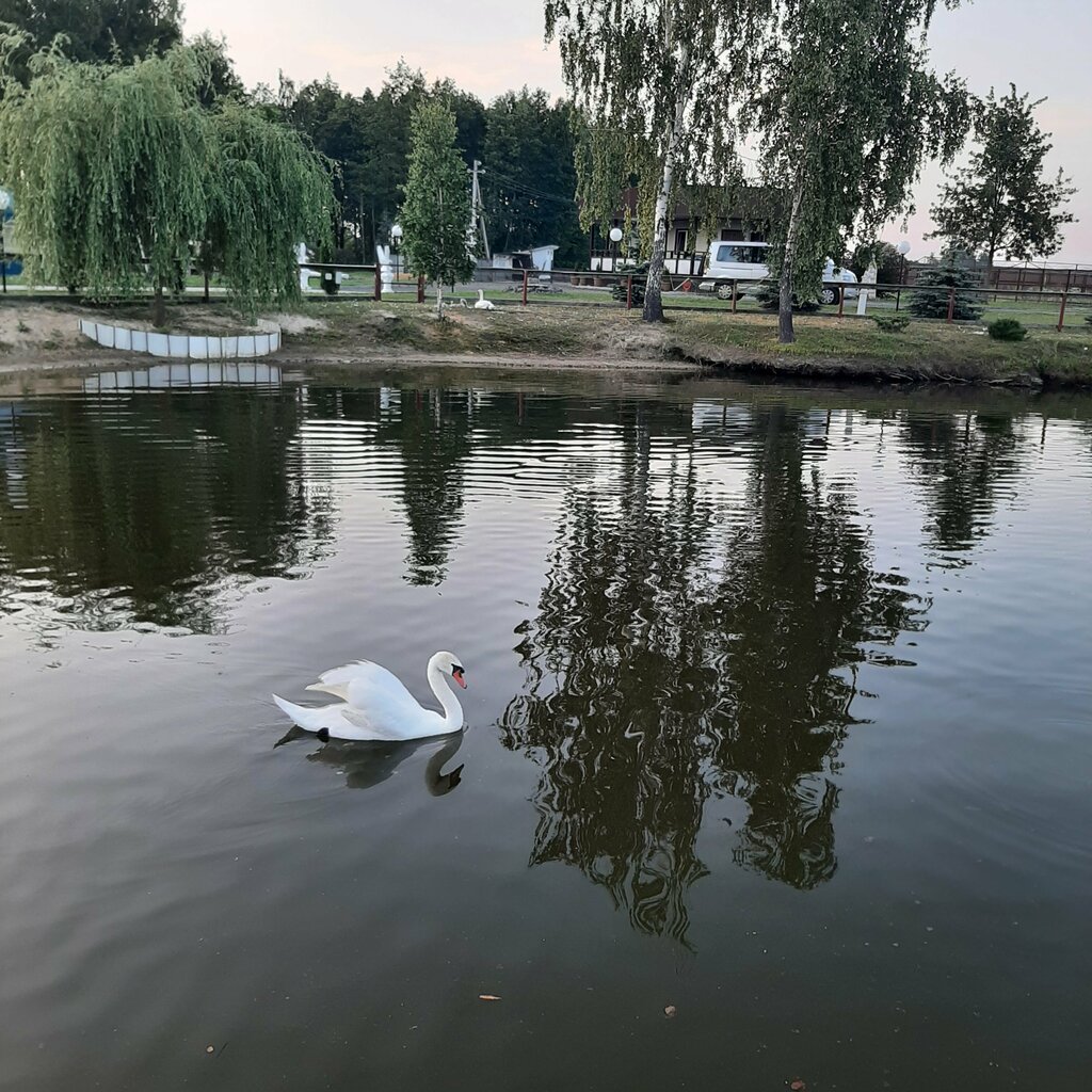 Plaj Beach, Gomelskaya oblastı, foto