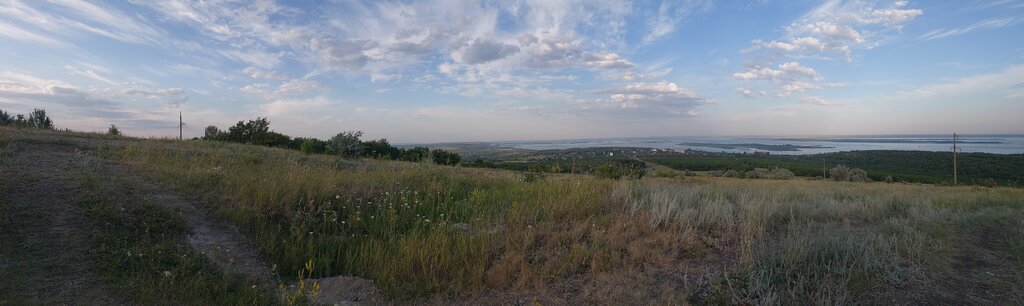Orman Трумбицкий лес, Saratovskaya oblastı, foto
