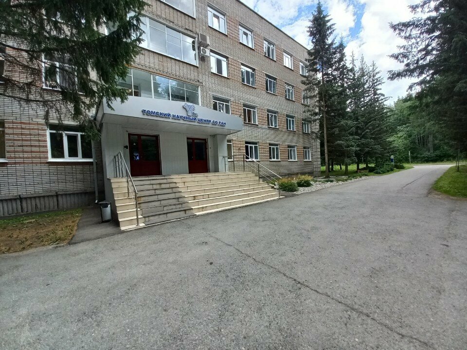 Danışmanlık hizmetleri Association of Innovation and Entrepreneurship Managers, Tomsk, foto