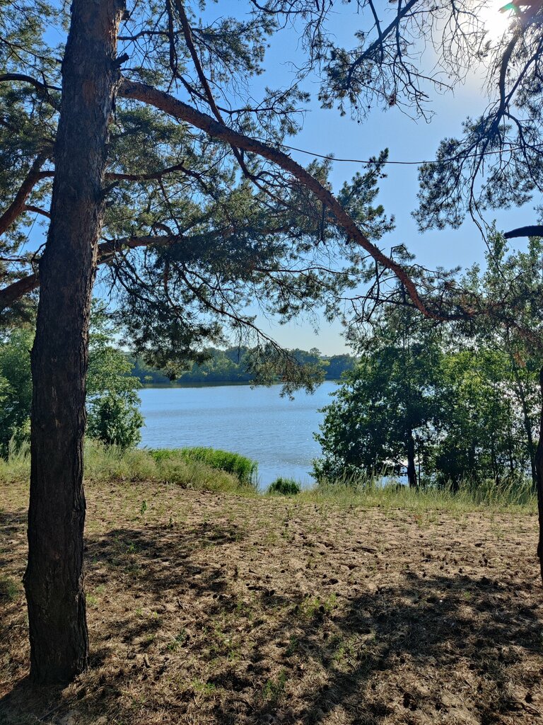 Plaj Сорокинский пляж, Stariy Oskol, foto