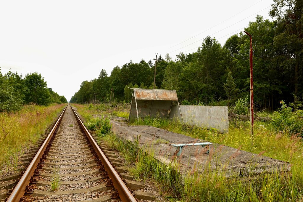 Yük istasyonu остановочный пункт Феликсово, Kalujskaya oblastı, foto