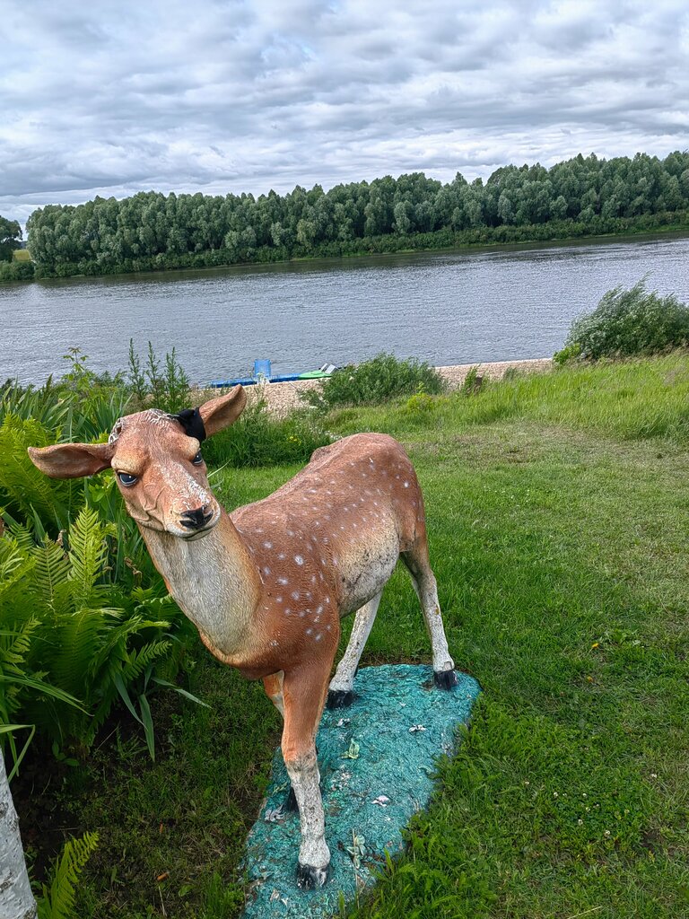 i̇skele Jetty , Riazanskaya oblastı, foto