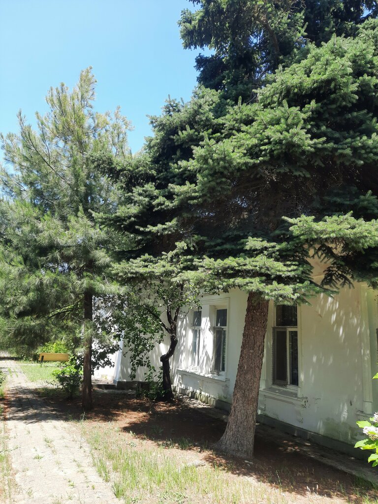 Kamp alanları Голубые ели, Anapa, foto