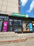 Пивоварня (ulitsa Geroya A.A. Averkiyeva No:24), bira dükkanı  Krasnodar'dan