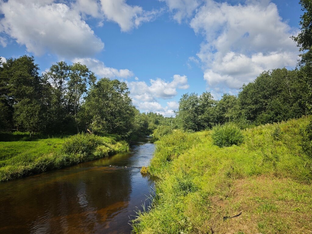 Seyir terası Смотровая площадка, Pestovo, foto