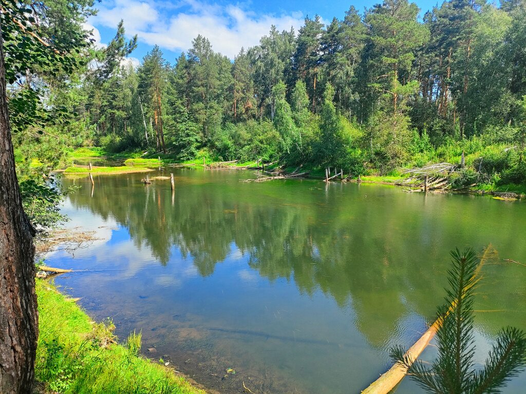 Turistik yerler Андреевский золотой прииск, Sverdlovskaya oblastı, foto