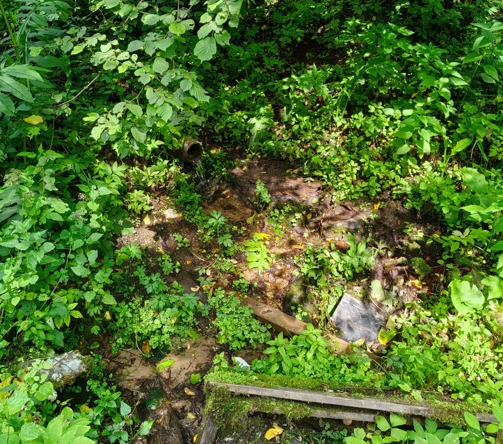 Pınar, çay Spring, stream, Moskova ve Moskovskaya oblastı, foto