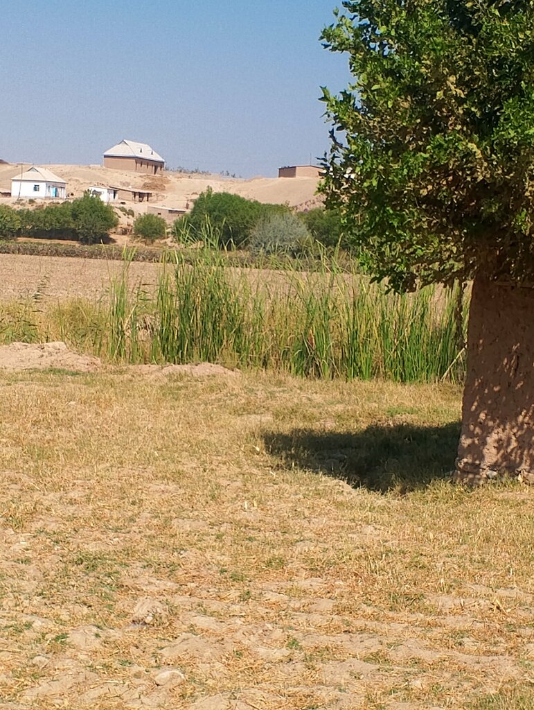 Oto yıkama Carwash, Gülistan, foto