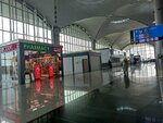 Ptt (İstanbul, Arnavutköy, Tayakadın Mah., Terminal Cad., 1), postahane, ptt  Arnavutköy'den