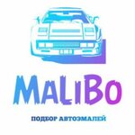 Malibo (Torfyanaya Road No:21С), otomobil boyaları  Saint‑Petersburg'dan