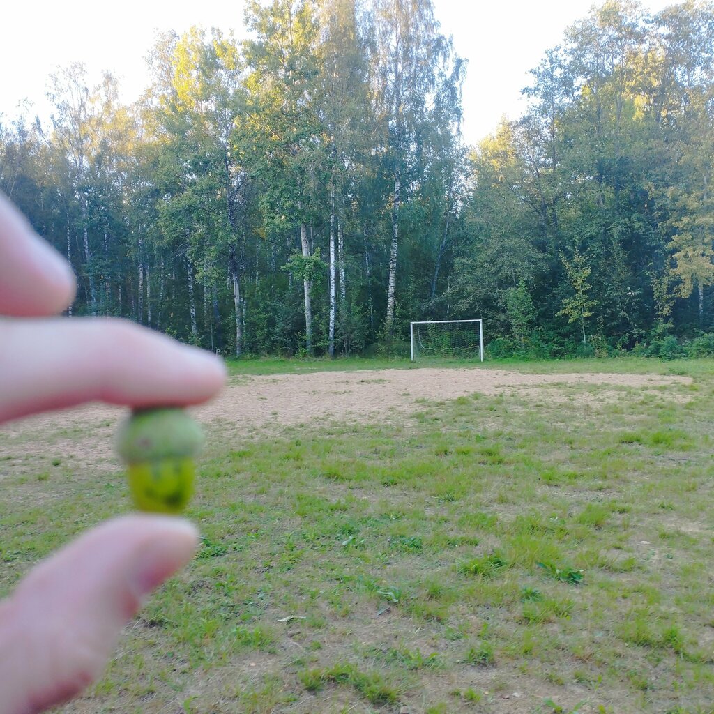 Spor alanı Футбольное поле, Saint‑Petersburg ve Leningradskaya oblastı, foto