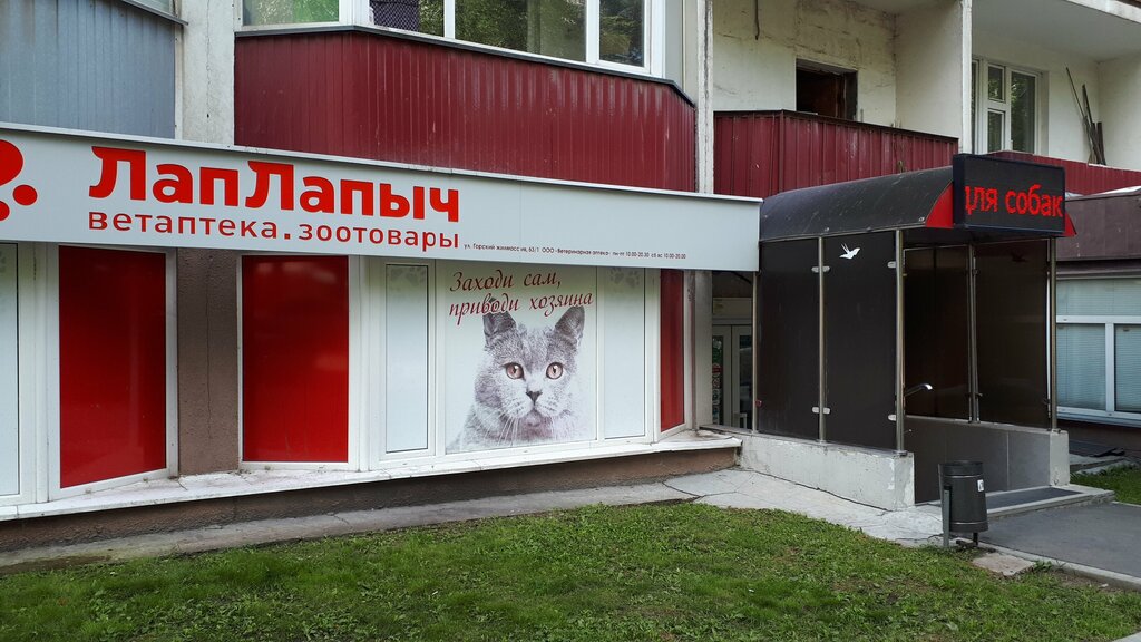 Veteriner eczaneleri Лап Лапыч, Novosibirsk, foto