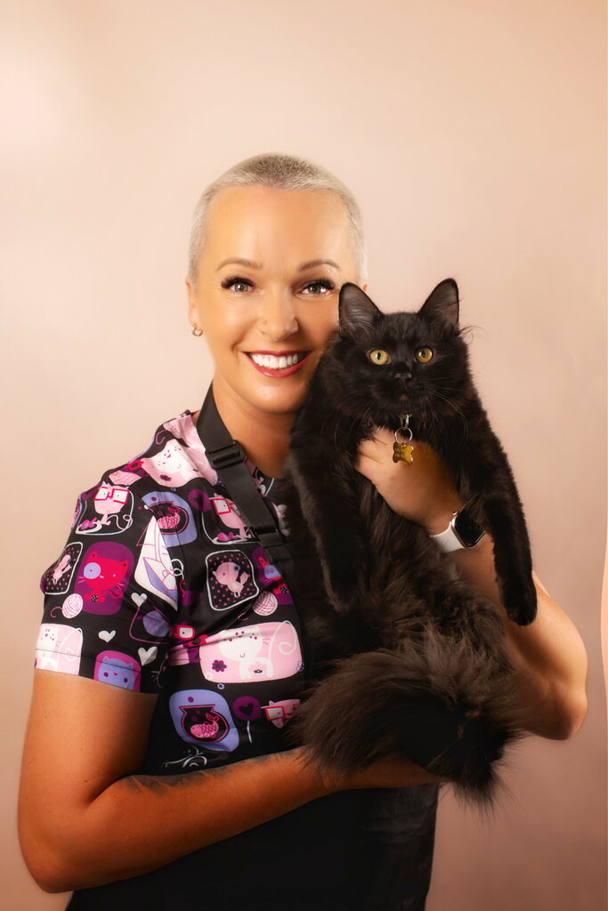 Evcil hayvan kuaförleri Люцифер Cat, Balaşiha, foto