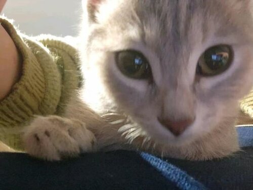 ГОСТИНИЦА UNSCRUPULOUS XUEYE YOUTH TRAVEL SERVICE, Китай от 628 ...