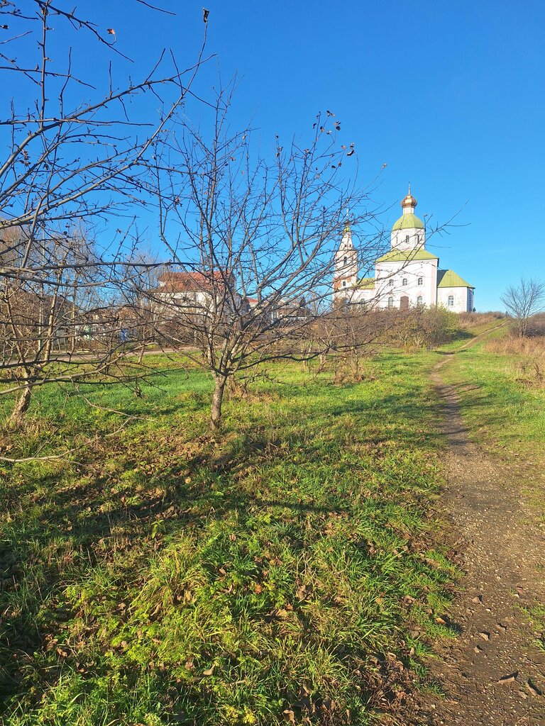 Kültür ve eğlence parkları яблоневый сад в честь 65-летия Победы, Suzdal, foto