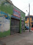 Acuario Betta (Bogotá, Carrera 14 Avenue, 51-95), depo