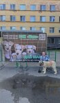 Общество защиты животных Шанс (Leningradskaya ulitsa No:18А), hayvan barınakları, kulüpleri ve otelleri  Sokol'dan