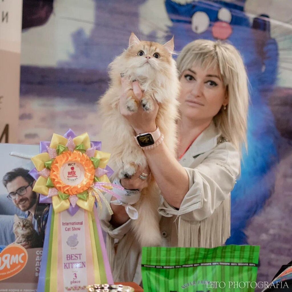 Evcil hayvan yetiştiricileri RomirRus, Orehovo‑Zuyevo, foto