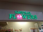 Natural Flowers (Distrital La Perla, Benjamin Doig, Avenida La Marina, 2000), çiçekçiler  Peru'dan