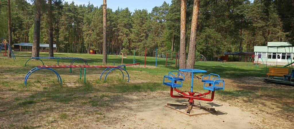 Yaz kampı Спутник, Tambovskaya oblastı, foto