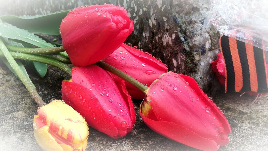 Anıt, heykel Воинам-землякам, погибшим в годы Великой Отечественной войны, Tverskaya oblastı, foto