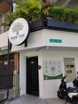 Home Tree Coworking (Antioquia, Municipio de Medellín, Barrio de Laureles, Calle 33A, 70A-40), paylaşımlı ofis  Medellin'den