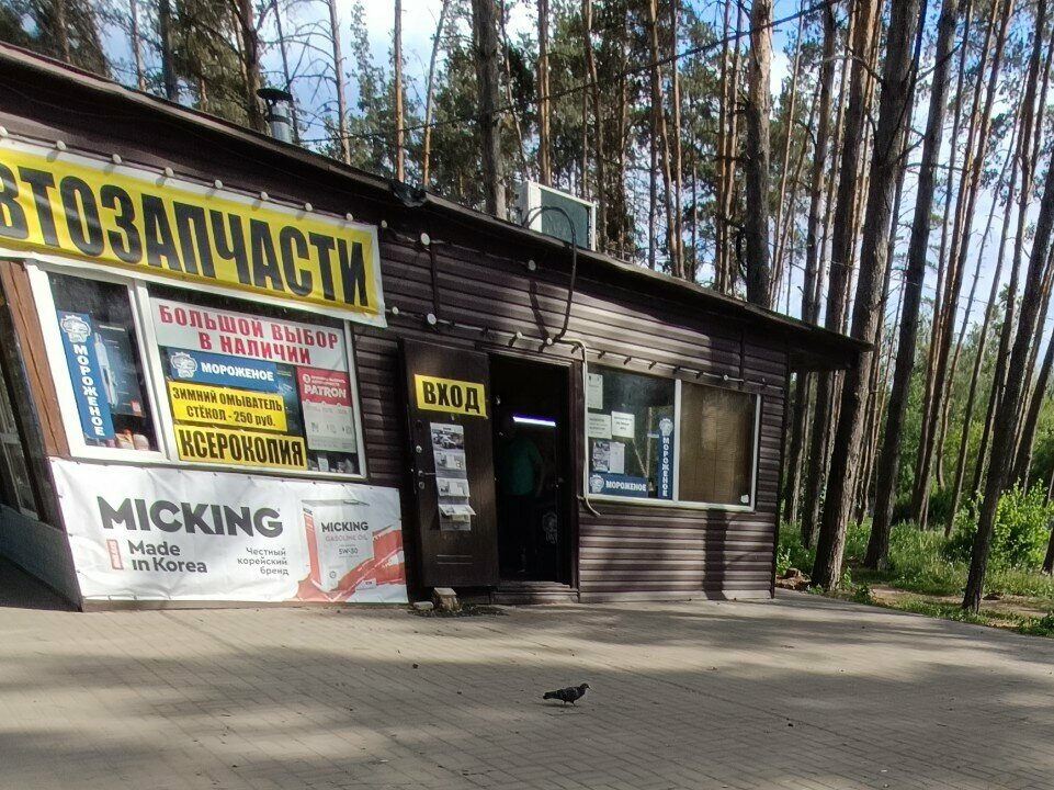 Otomobil yedek parçaları Autozap36, Voronej, foto