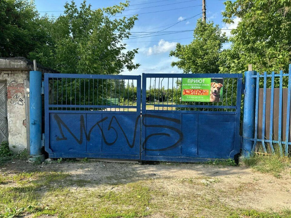 Hayvan barınakları, kulüpleri ve otelleri Жизнь, Arzamas, foto