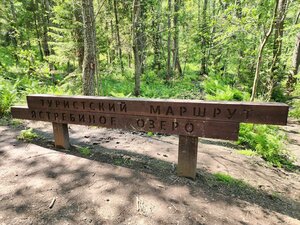 Пешеходный экологический маршрут тропа Хо Ши Мина (Leningrad Region, Priozerskiy District, Sevastyanovskoye selskoye poseleniye, kompleksny pamyatnik prirody Ozero Yastrebinoye, peshekhodny ekologicheskiy marshrut tropa Kho Shi Mina), turistik yerler  Saint‑Petersburg ve Leningradskaya oblastından