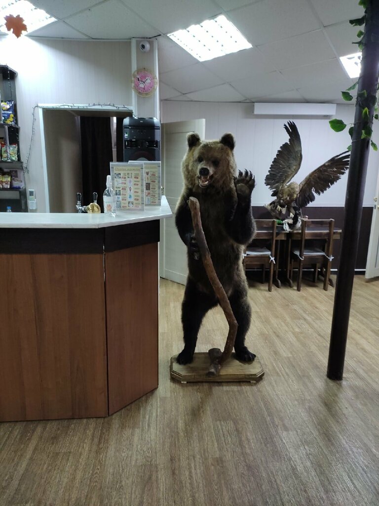 Kafe Берлога, Kirovskaya oblastı, foto