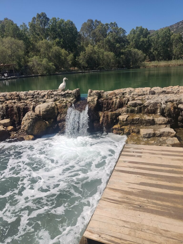 Plaj Taşlık Plajı, Dünya, foto