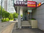 Первые слова (Zareviy Drive No:2), çocuk ıslah merkezi  Moskova'dan