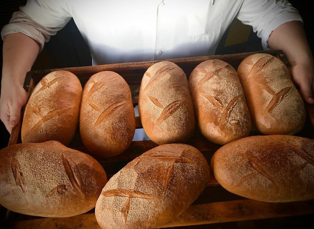 Ekmek fırını Kovrovskii hleb, Kaliningradskaya oblastı, foto