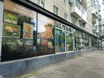 Vse dlya khudozhnika (ulitsa imeni V.G. Rakhova No:137), hobi, elişi için ürünler  Saratov'dan