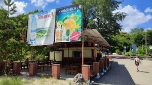 Ульянка (ulitsa Naberezhnaya reki Volgi No:10), kafe  Ulyanovsk'tan