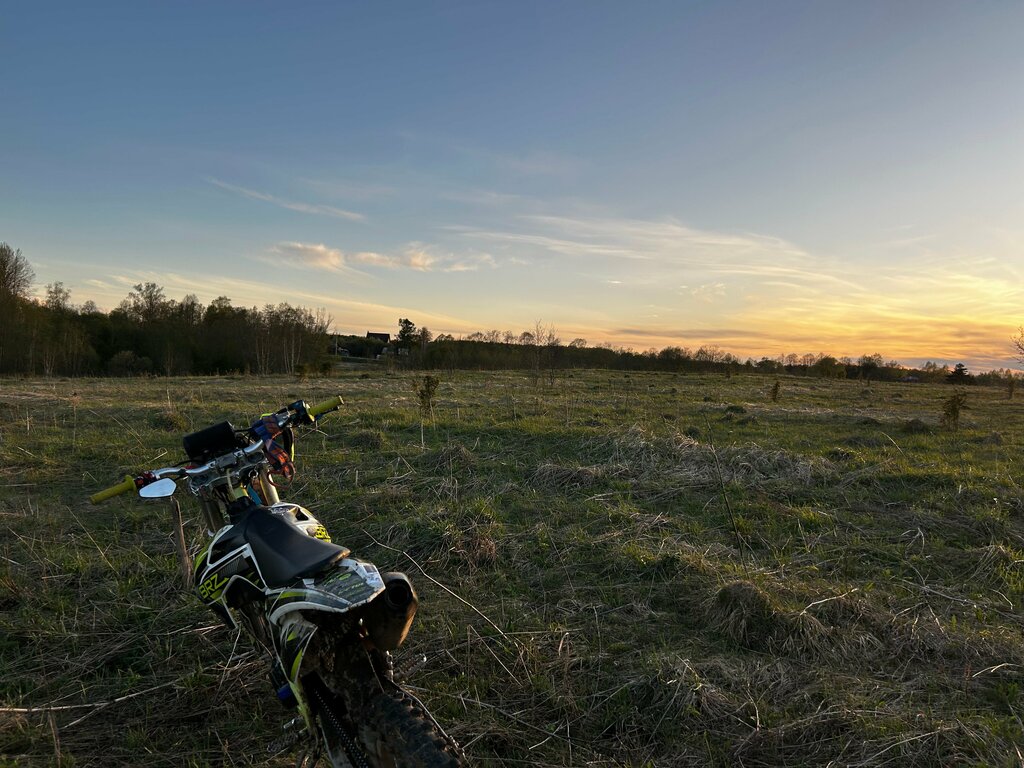 Piknik alanı Место для отдыха, Kalujskaya oblastı, foto
